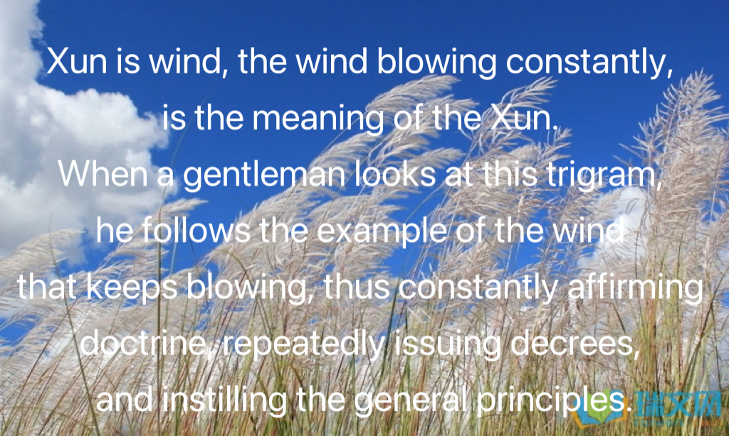 Xun is wind Embroidered shirt with Chinese character - seedragoninthefield