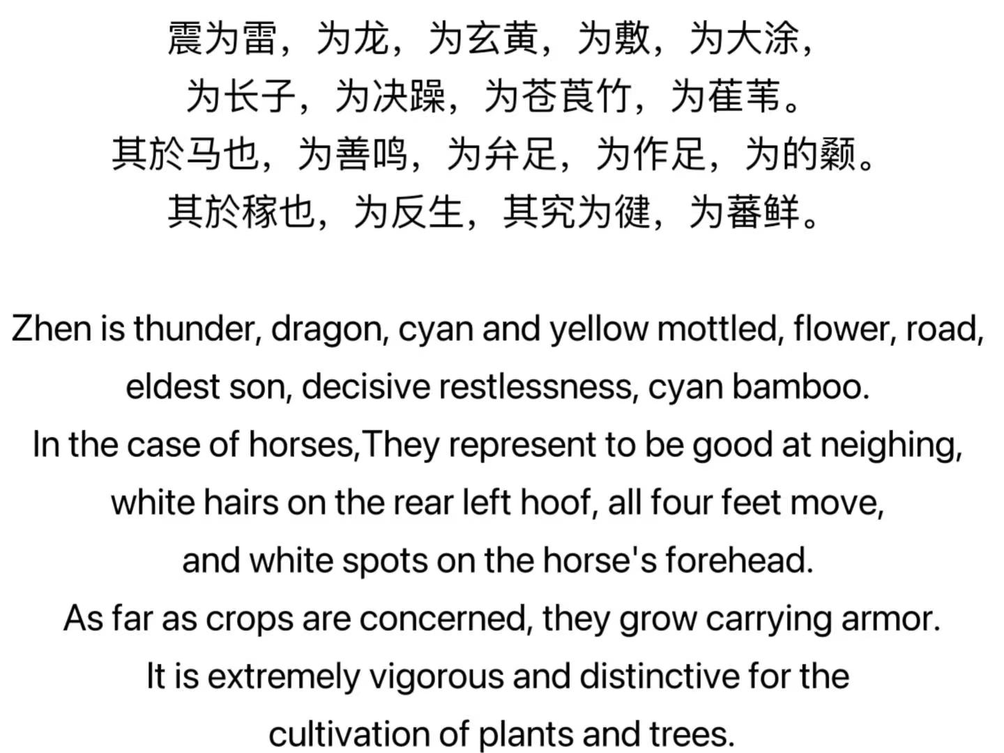 Zhen is Thunder（震为雷） Embroidered shirt with Chinese character ...